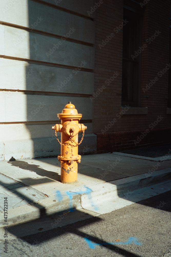 Yellow Fire Hydrant Stock Photo | Adobe Stock