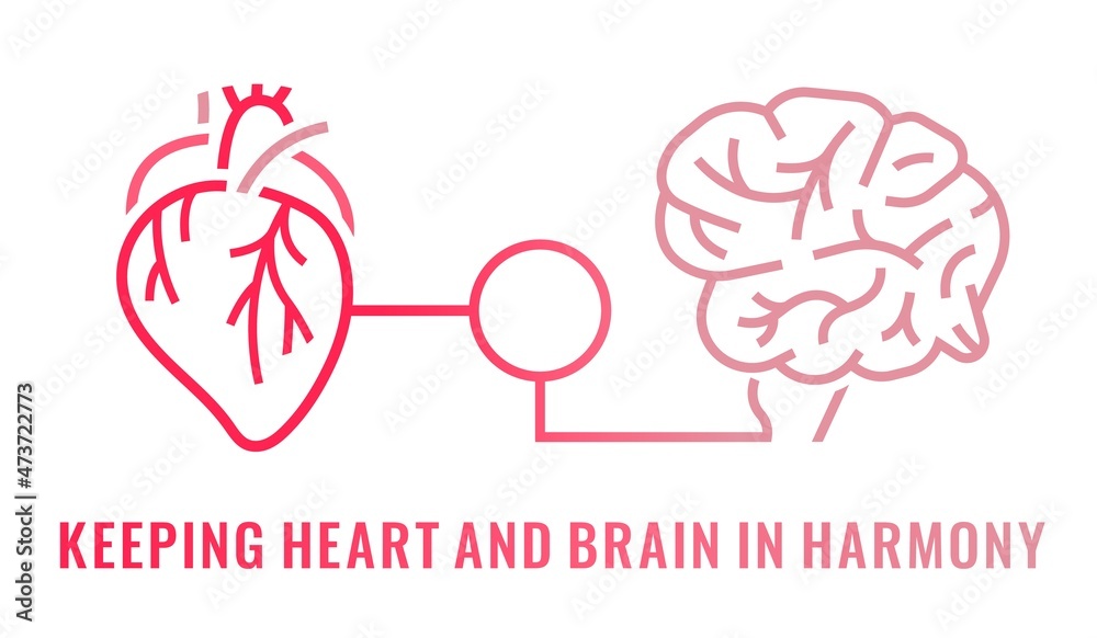 Heart-brain connection. Health of the heart and mind are intertwined ...