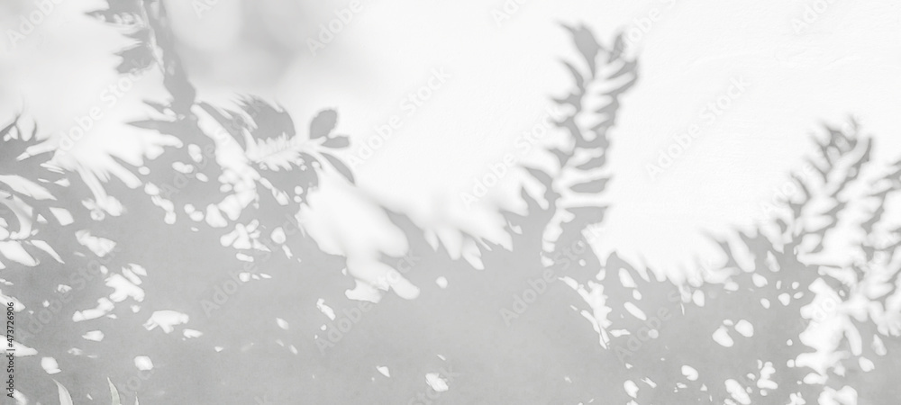 Leaf shadow and light on wall blur background. Nature tropical leaves ...