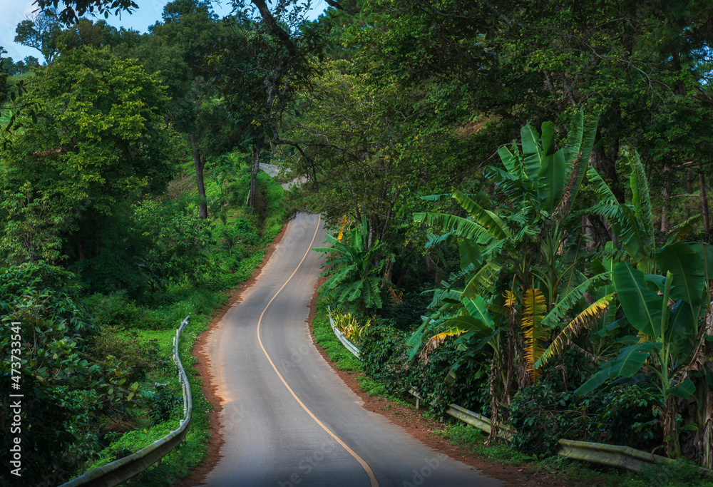 Foto de Beautiful road thru the mountain at Doi Pha Hee Chiang Rai ...