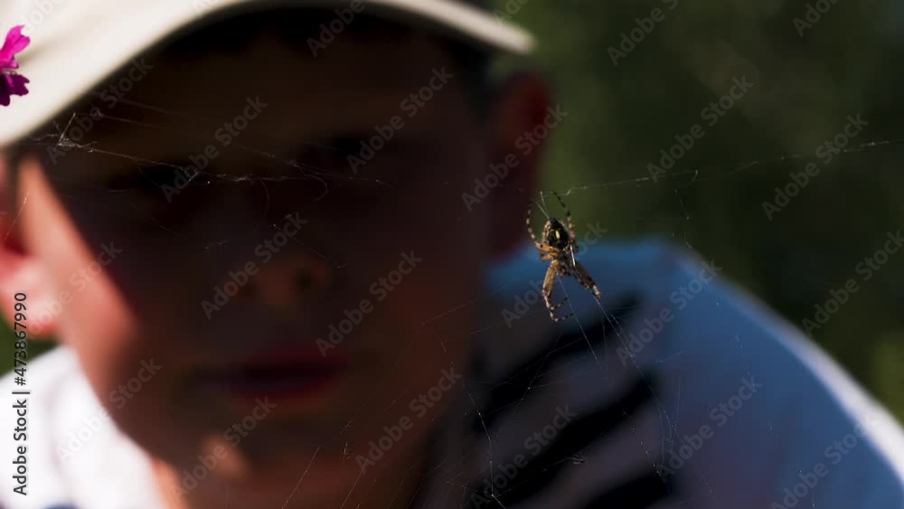 A little boy looks at a spider on a sunny day . Creative. A child in a ...