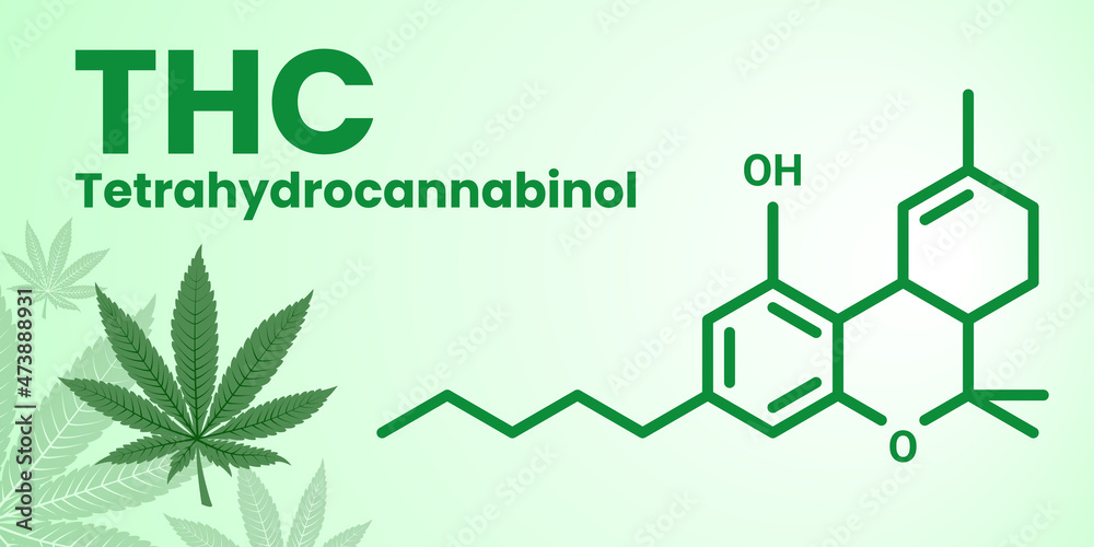 The structural formula of Tetrahydrocannabinol THC - psychoactive ...