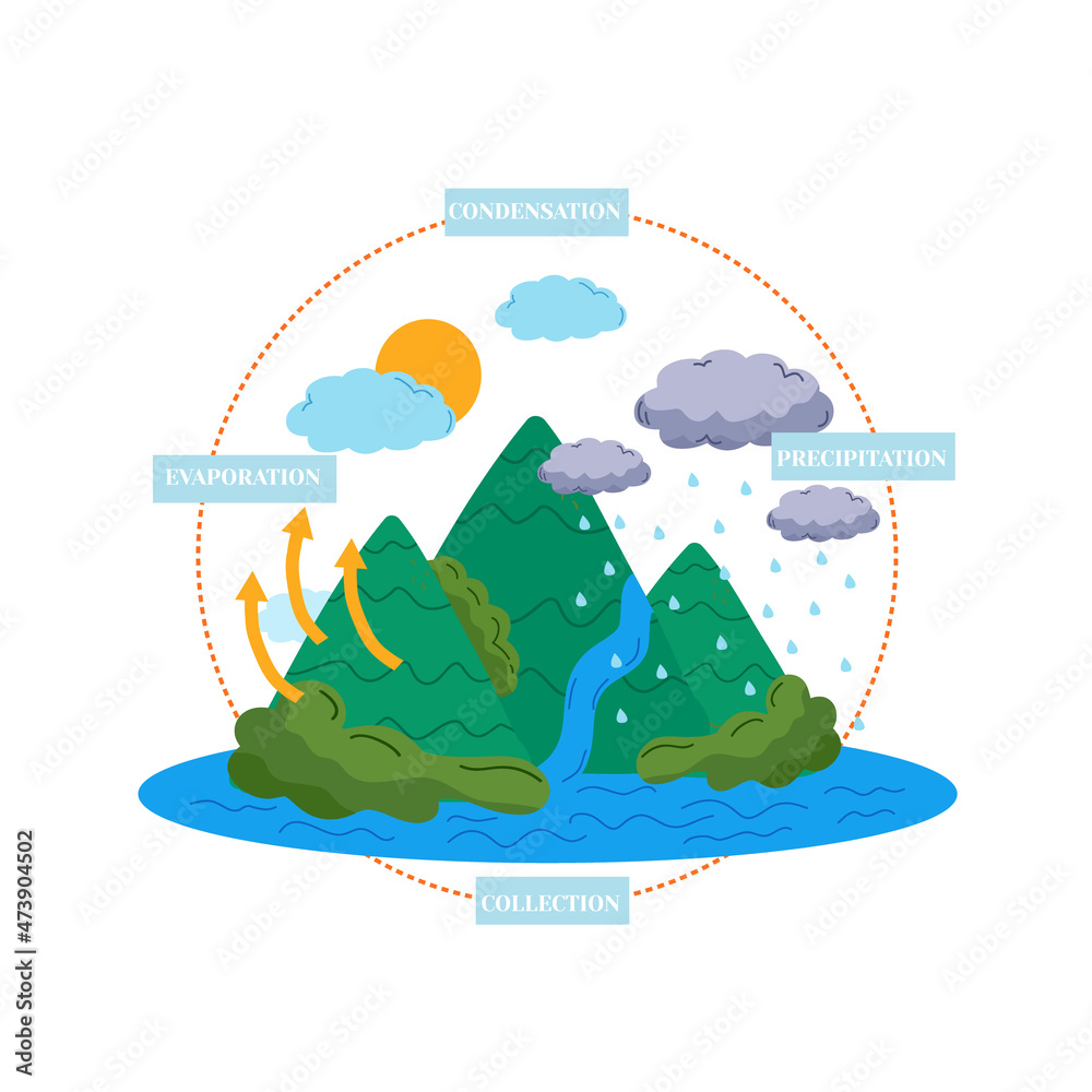 Infographic of water cycle Stock Vector | Adobe Stock