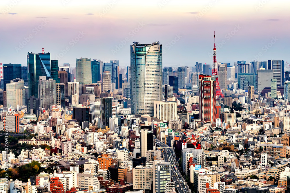 Roppongi Hills Mori Tower and Tokyo Tower with Tokyo Cityscape at ...