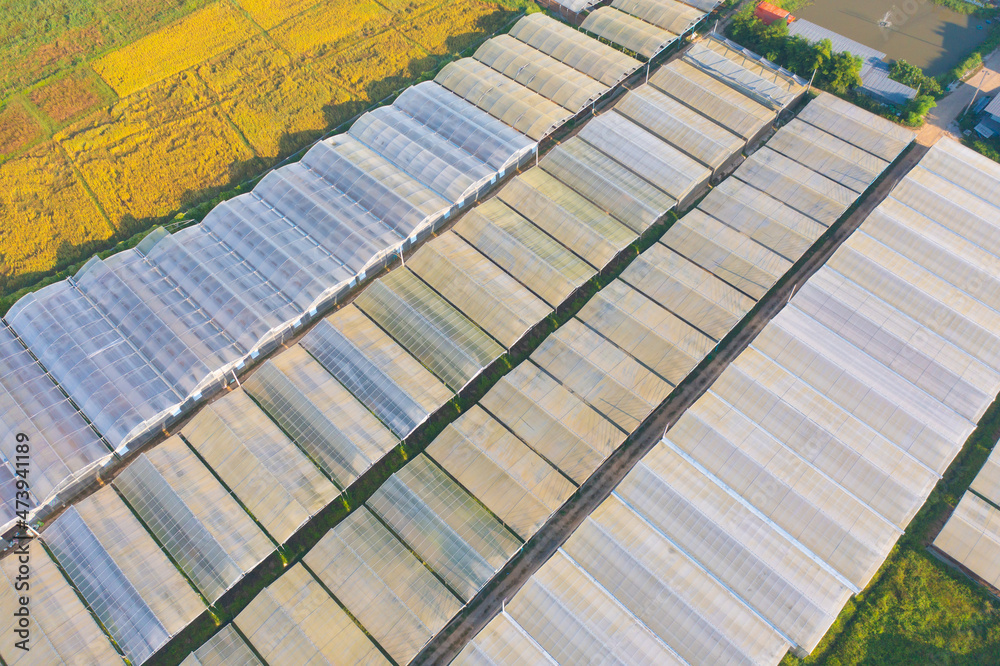 Aerial top view of roof of garden plant industry farm in agriculture ...