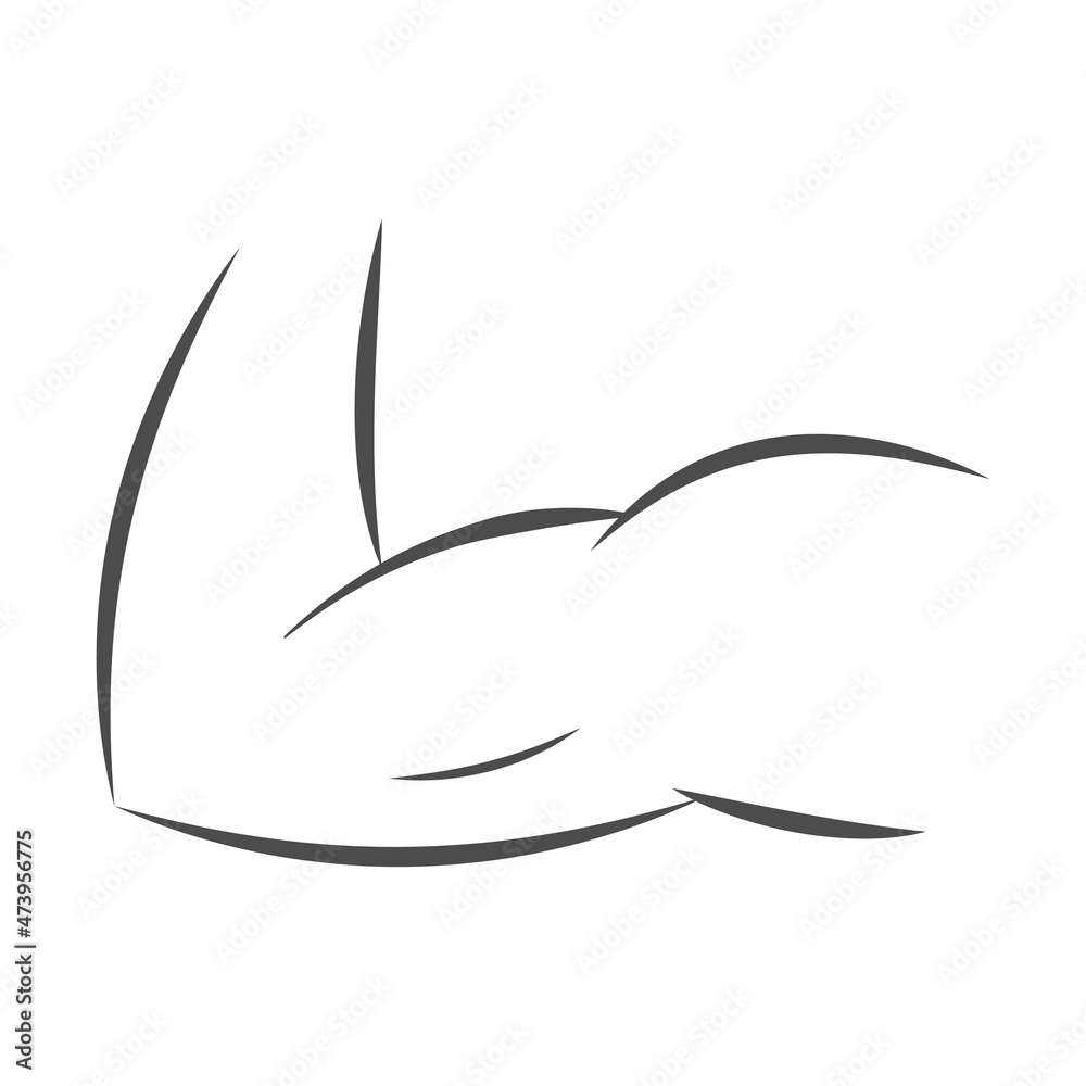 Arm line icon, arm muscle outlines, biceps triceps, athletic structure ...