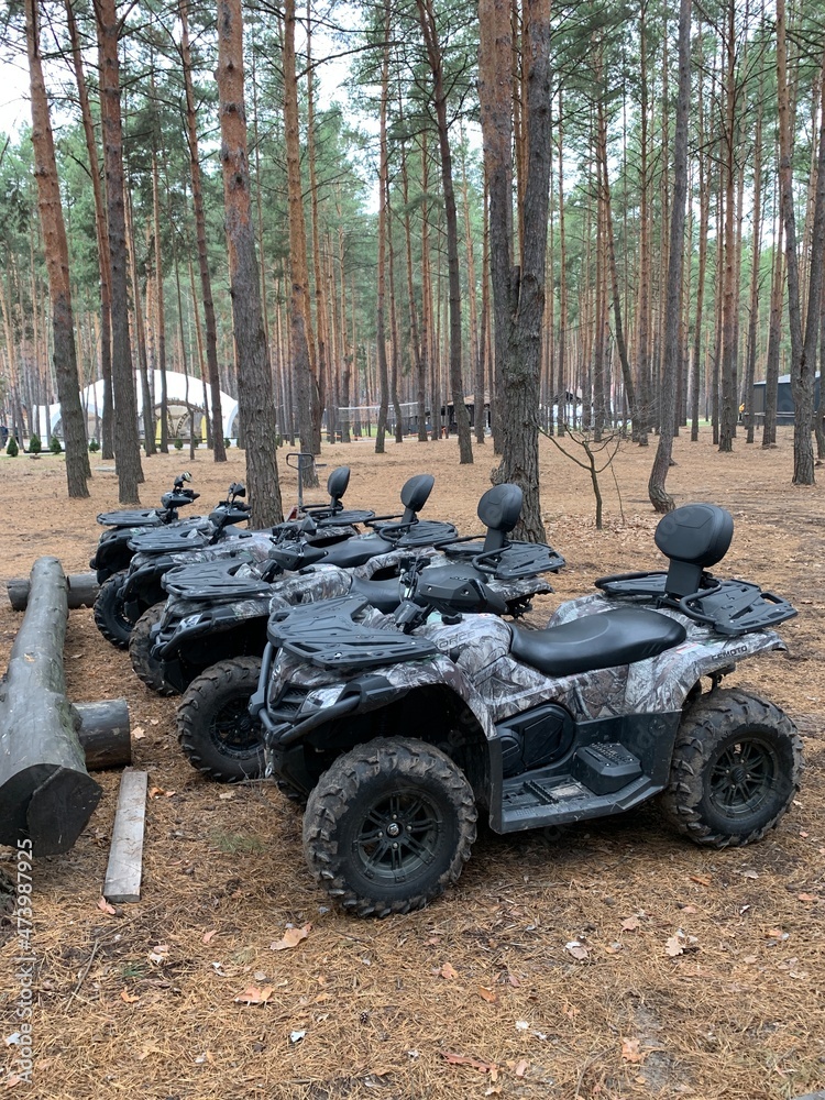 All-terrain vehicles for driving through the forest. Quad bike on the ...
