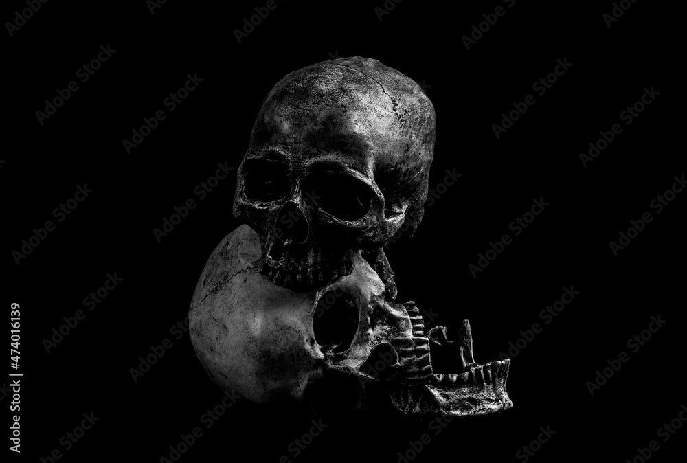 Human skeleton skull head isolated on black Stock Photo | Adobe Stock