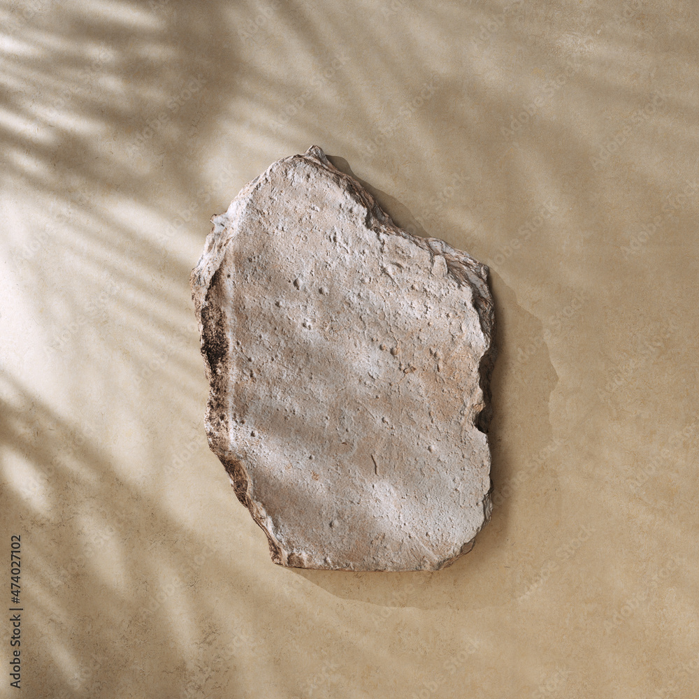 Top view product display background, texture tropical leaves shadow ...