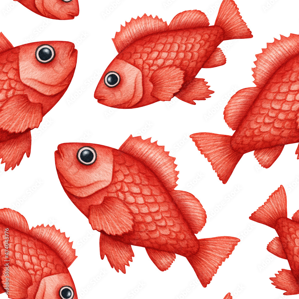 Watercolor Rose Fish, Ocean Perch seamless pattern. Hand drawn Rockfish ...