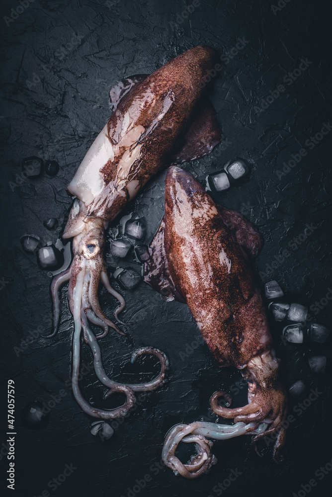 Seafood, squid calamary. Fresh raw whole squid with tentacles on dark ...