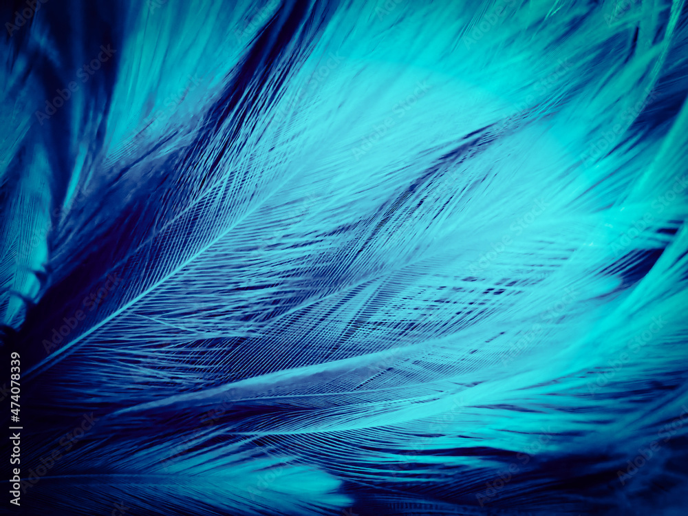 Abstract Feathers
