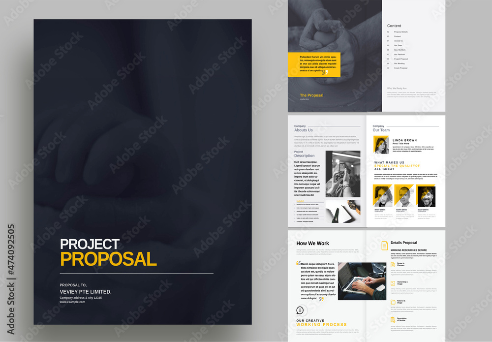 The Project Proposal Layout Stock Template | Adobe Stock