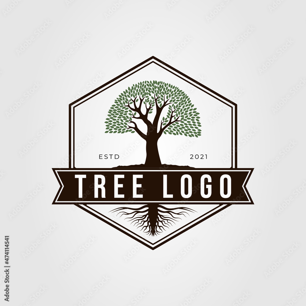oak or banyan tree with root logo vector illustration design. nature ...