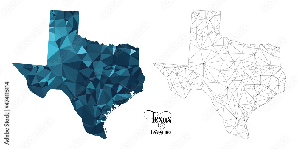 Low Poly Map of Texas State (USA). Polygonal Shape Vector Illustration ...