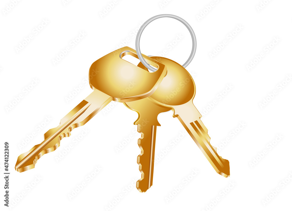 realistic keys in gold and silver keychain isolated on white background ...