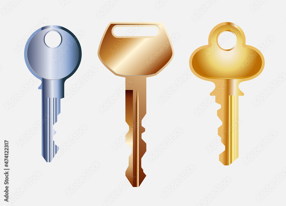realistic keys in gold and silver keychain isolated on white background ...
