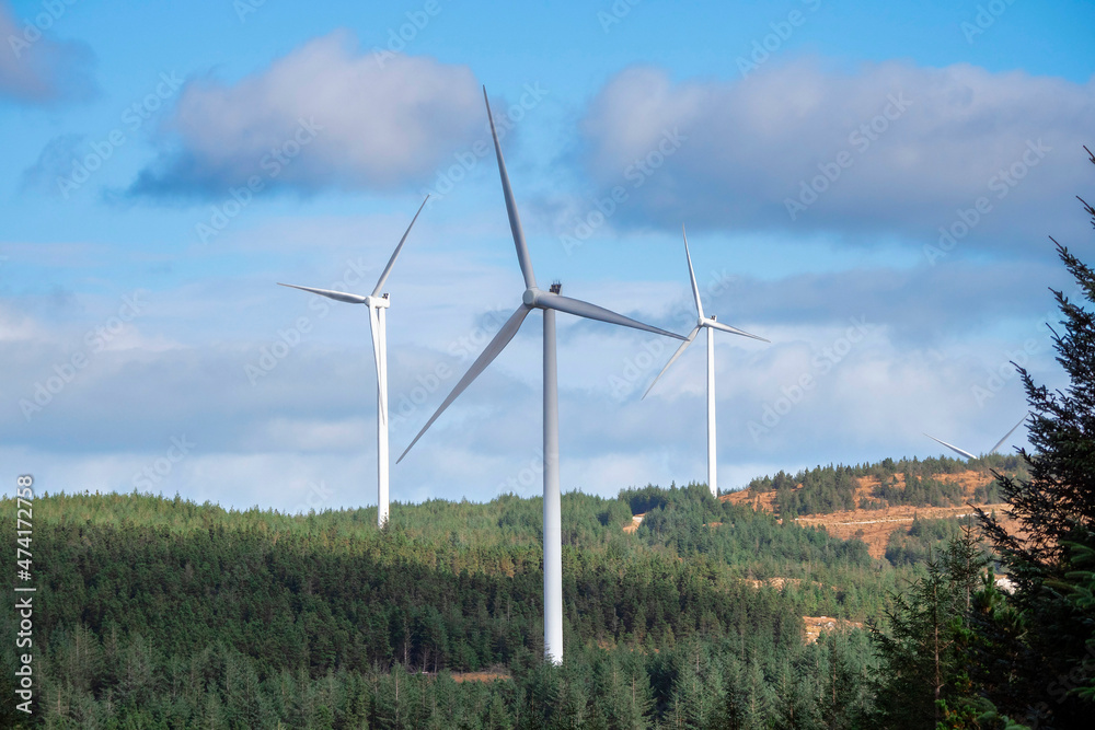 Green forest with wind energy turbines. Blue cloudy sky. Incorporating ...