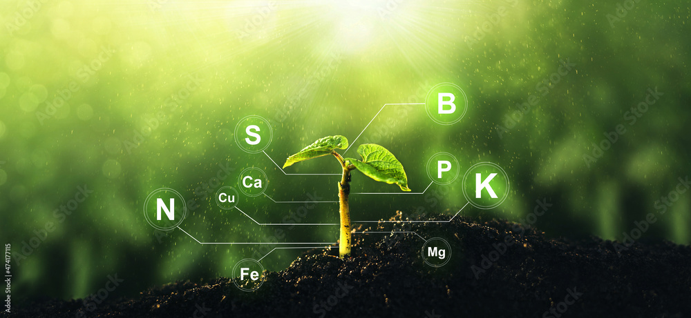 Microelements for plants nutrition.Factors necessary for the process of ...