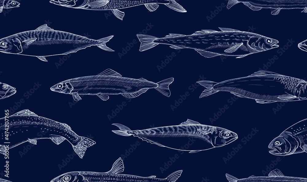 Vector graphics, drawings by hand. Fish.Capelin, herring, pollock ...