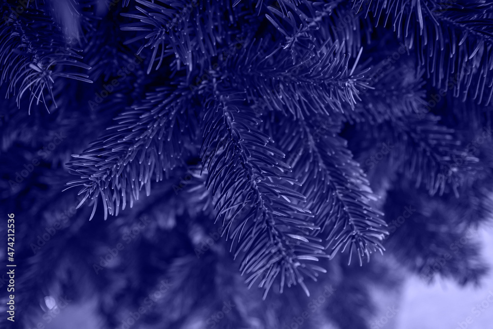 Fir tree texture tinted in the color of the year 2022 very peri ...