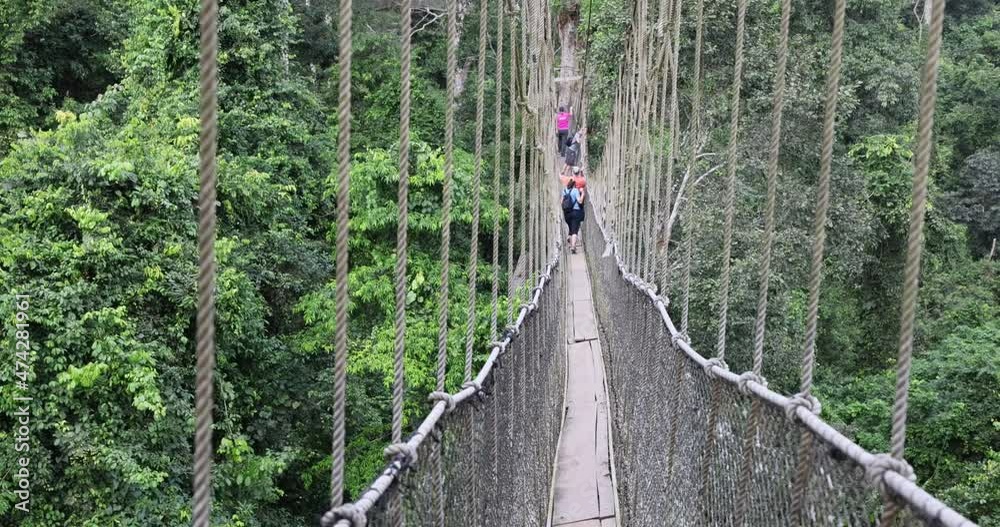 Rope bridge rainforest canopy Kakum Ghana tourism. National forest and ...