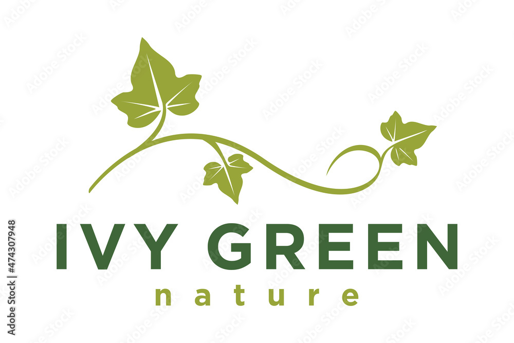Vine typography with Ivy leaf logo design Stock Vector | Adobe Stock