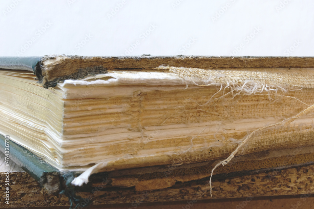 Torn and worn out book spine showing the inner book bindings. Macro ...