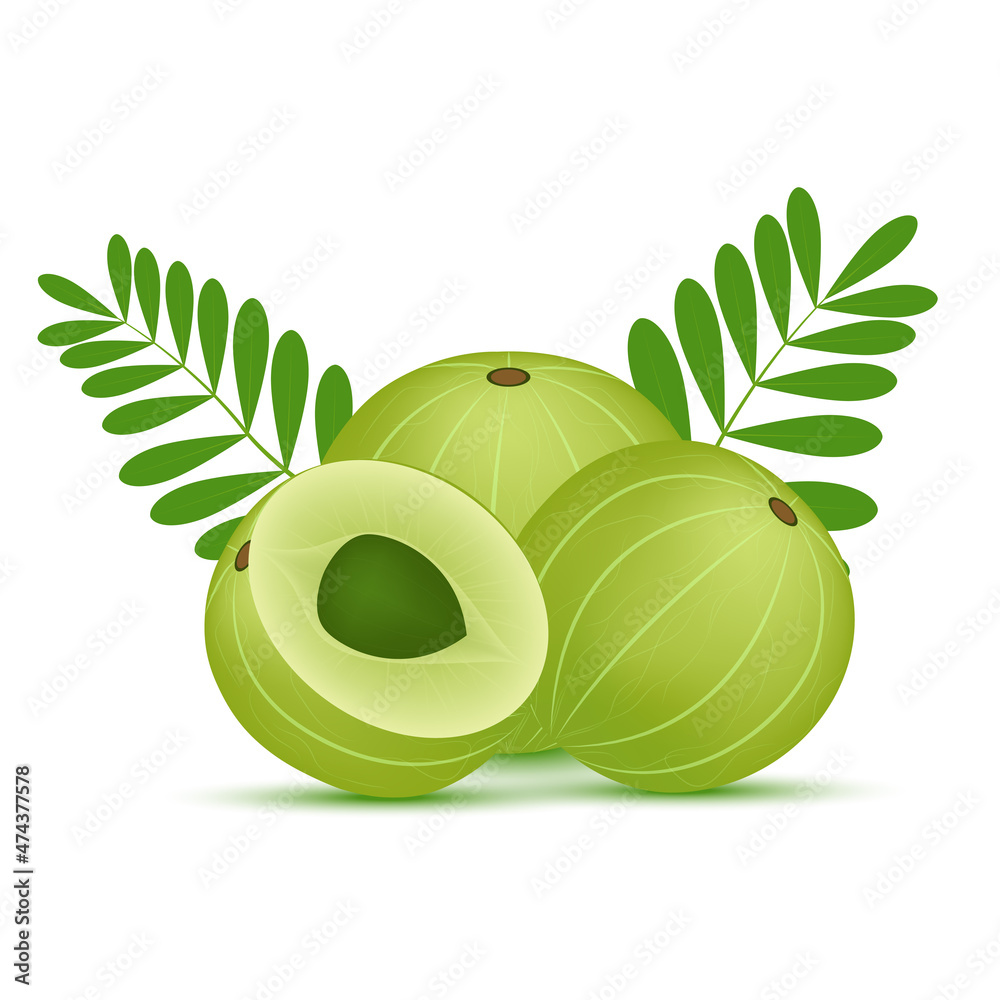 Fresh indian gooseberry or Amla fruit, amalaki with green leaves ...