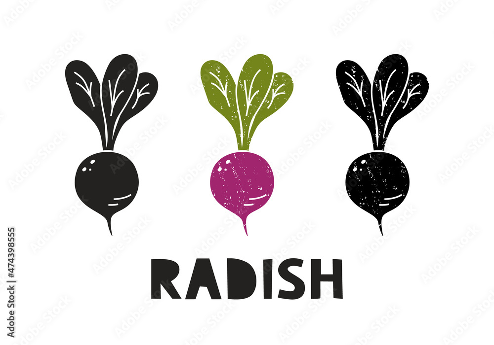 Radish, silhouette icons set with lettering. Imitation of stamp, print ...