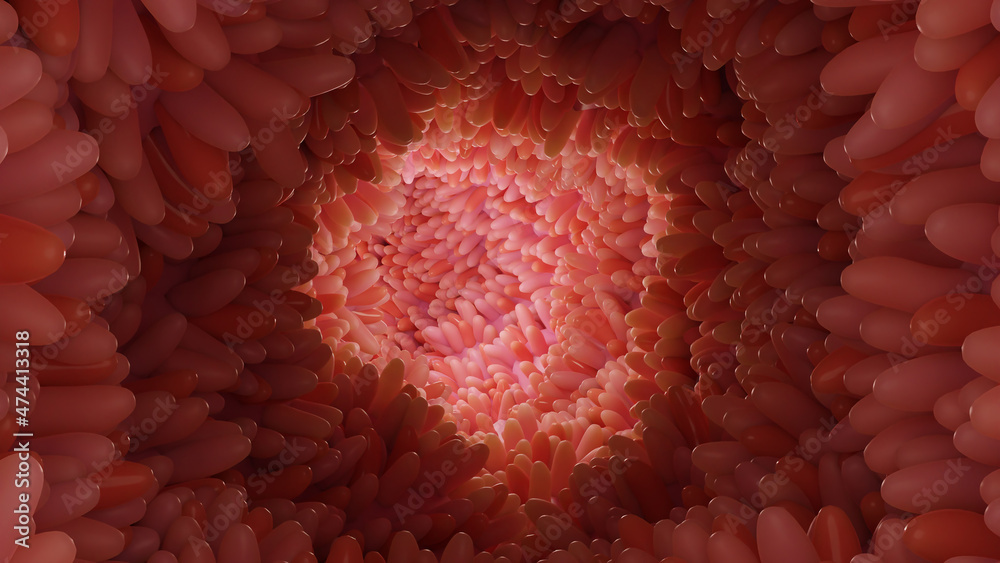 medically accurate illustration of intestinal villi.Red microvilli in a ...