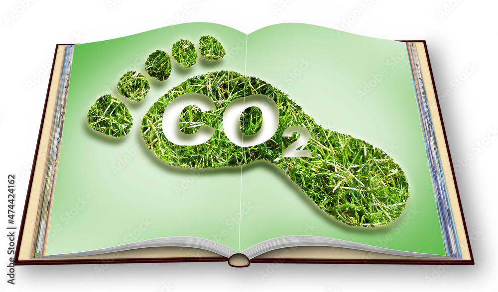 Carbon footprint concept image with CO2 text against footprint in grass ...