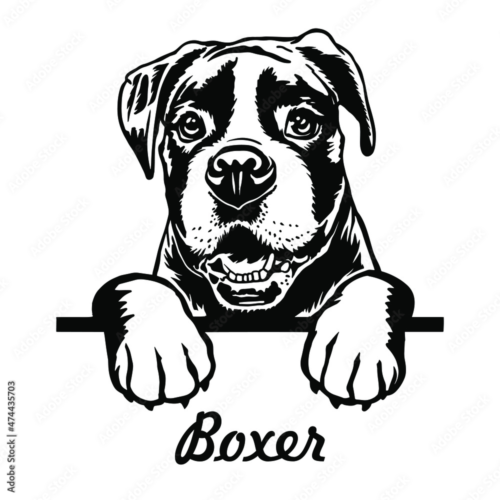 Boxer Dog Face Clipart