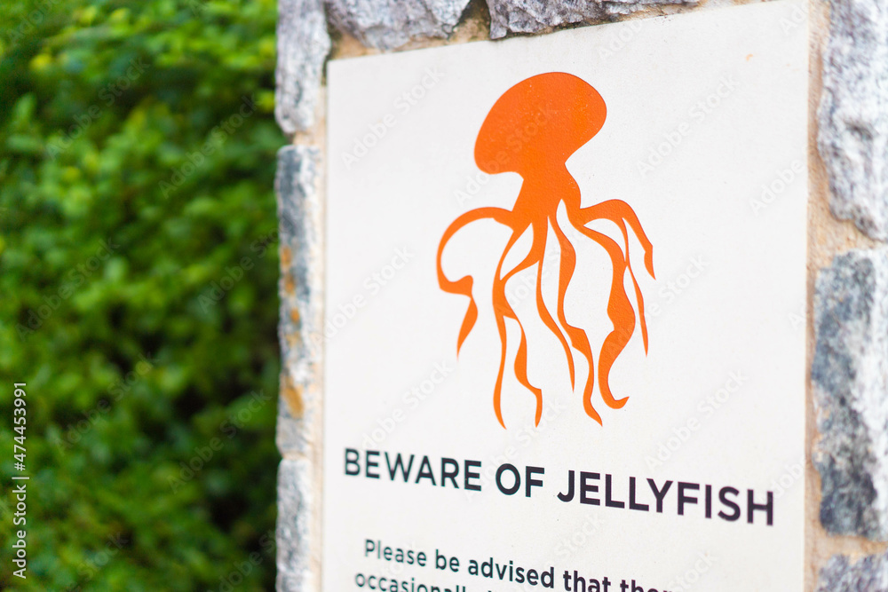 Orange warning sign for dangerous marine stingers or jellyfish in ...