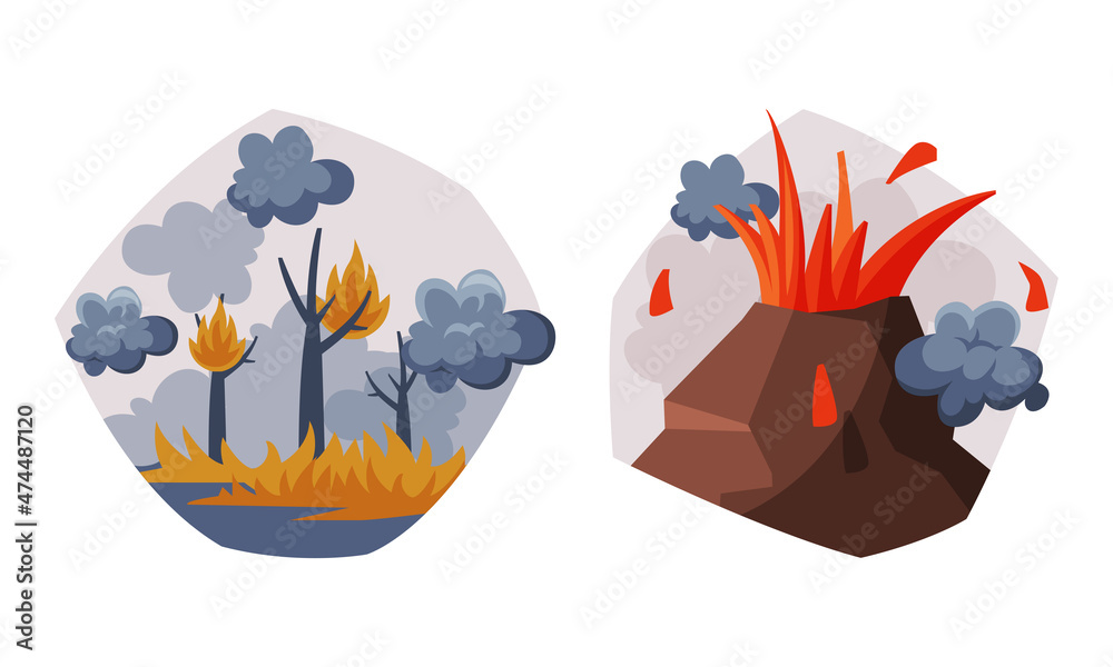 Poster Environmental Pollution Cause and Source with Wildfire and ...