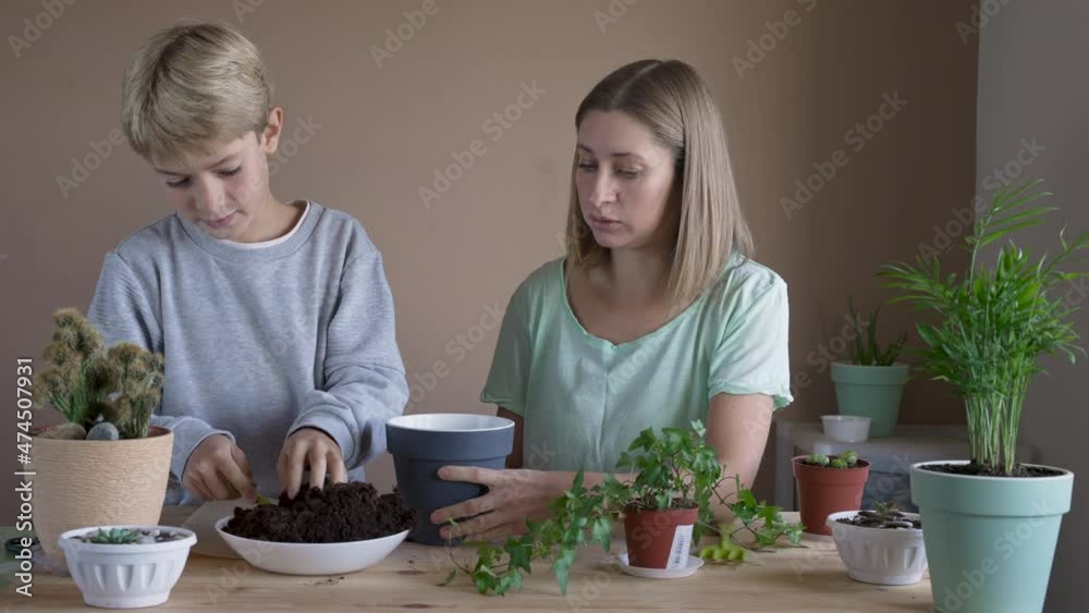Boy planting a flower in a pot with mother together. Child studing ...