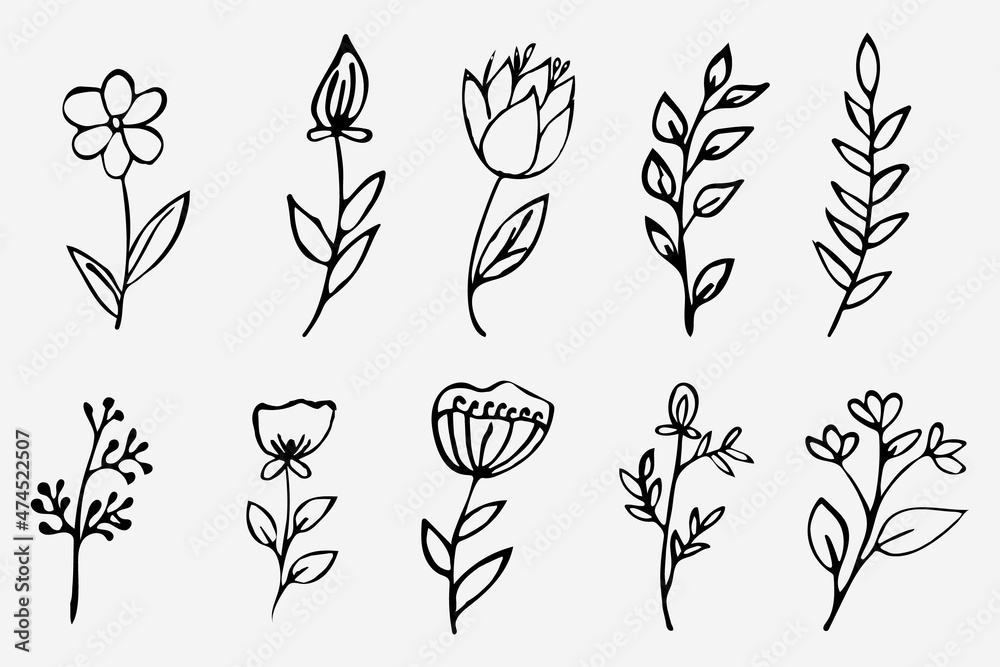 Wildflower line art bouquets set. Hand-drawn flowers, meadow herbs ...