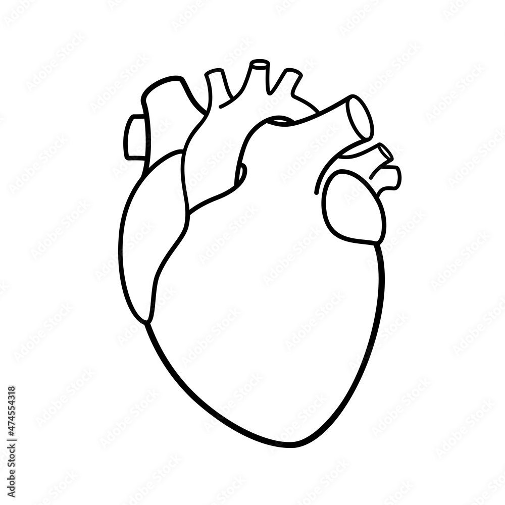 Realistic Heart icon isolated on white background. Stock Vector | Adobe ...