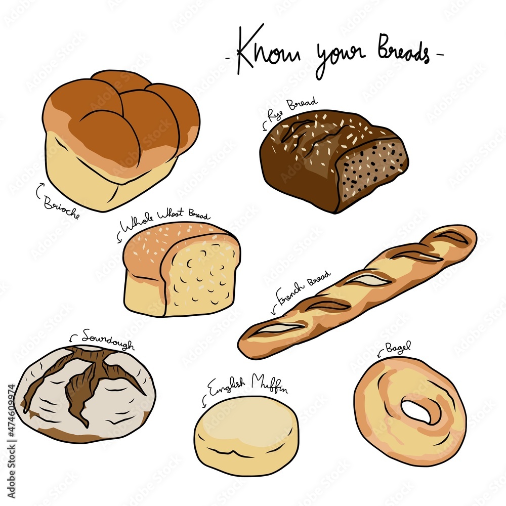 Know your breads chart vector illustration Stock Vector | Adobe Stock