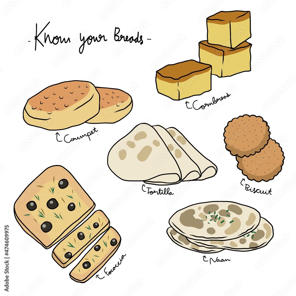 Know your breads chart vector illustration Stock Vector | Adobe Stock