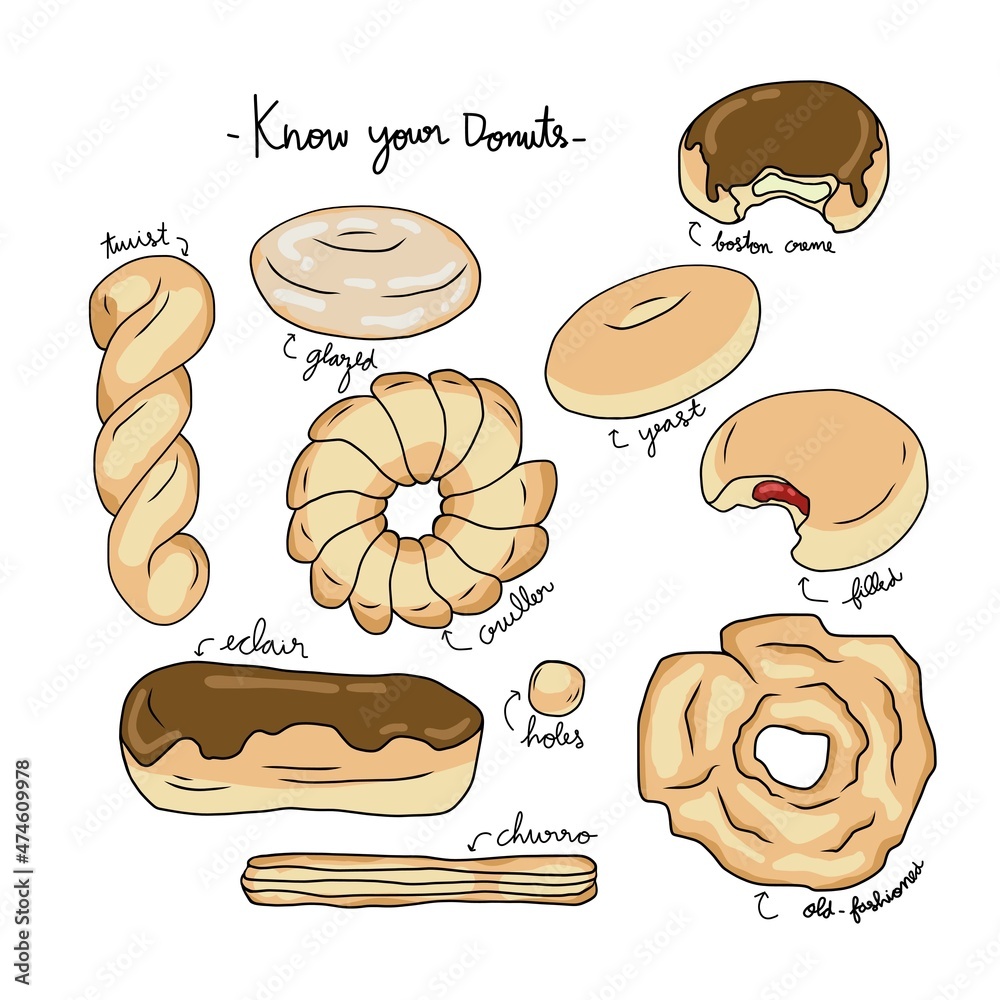 Know your donuts chart vector illustration Stock Vector | Adobe Stock