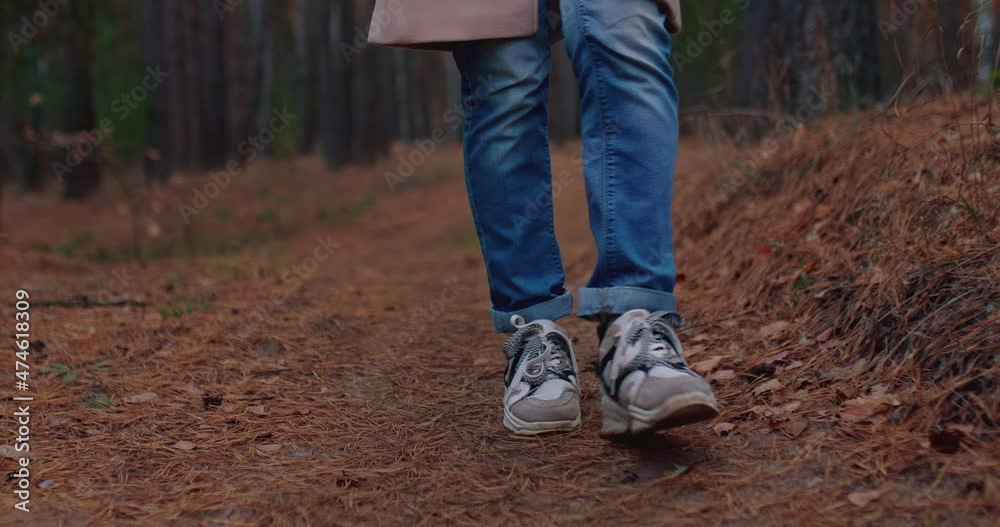 Women's feet are walking along a forest path. Feet in sneakers are ...