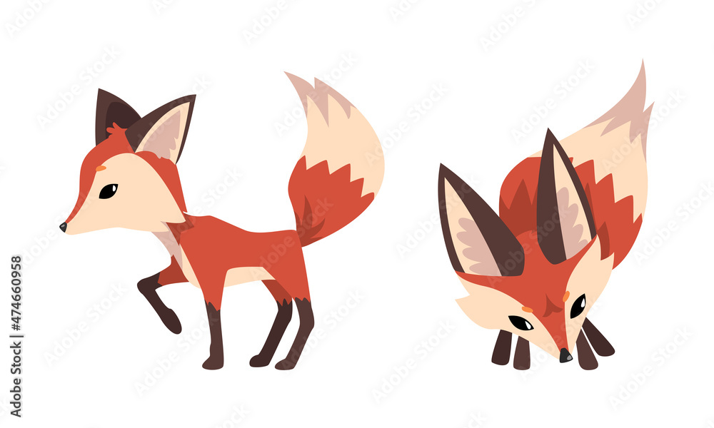 Cute Fox Character with Bushy Brush Tail and Triangular Ears Vector Set ...