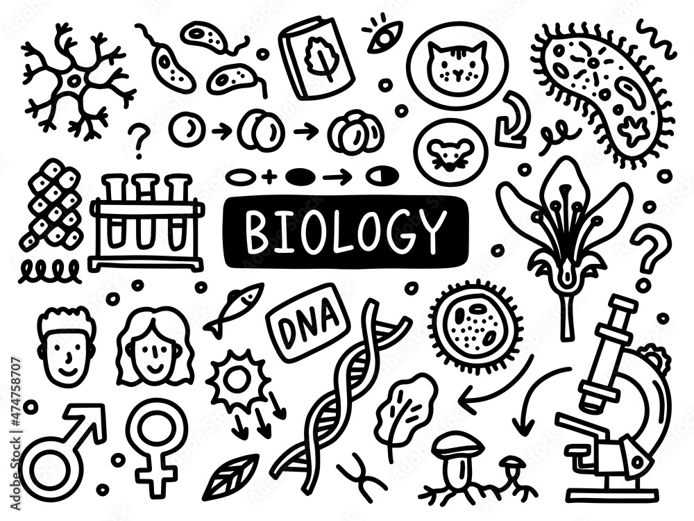 Biology doodle line set school university. Outline subject. Stock ... Biology doodle line set school university. Outline subject. Stock ...