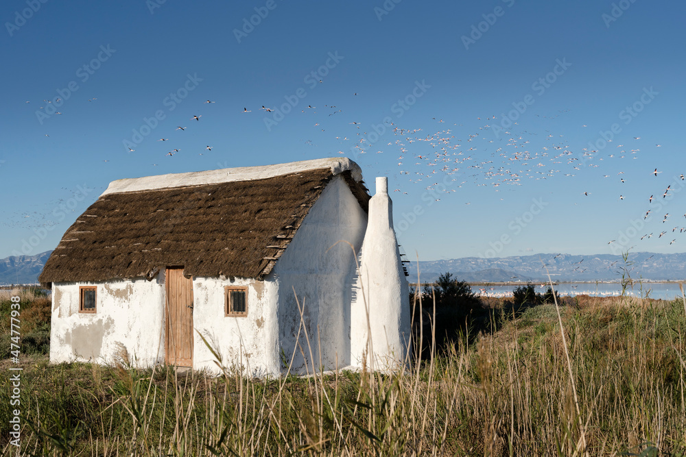 Poster a white cottage in the rice fields. – Wall Art | UkPosters