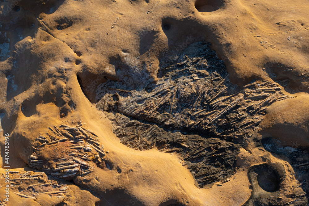 Sandstone formations on the beach of Luz on the Algarve, Portugal. The ...
