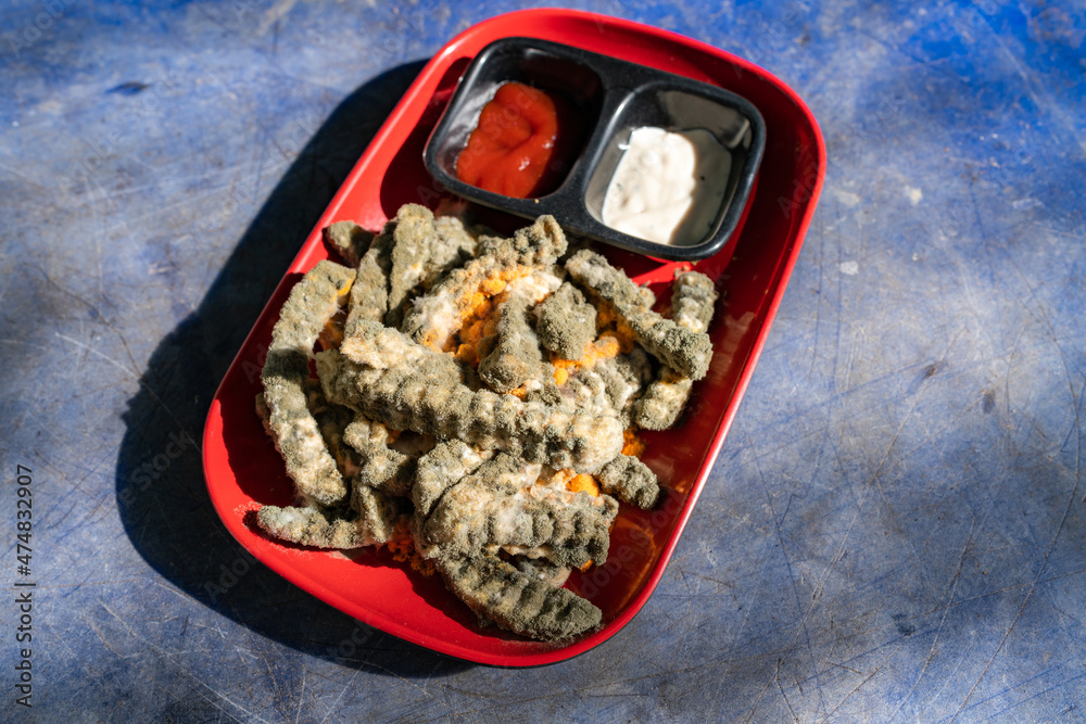 moldy french fries closeup, fungal moldy on unhealthy old food on plate ...
