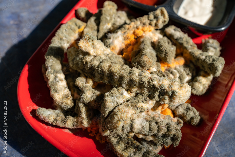 moldy french fries closeup, fungal moldy on unhealthy old food on plate ...