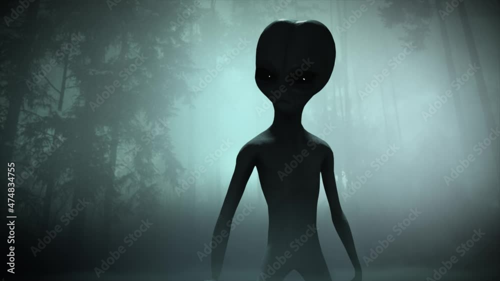 3D CGI VFX animation of a classic Roswell grey alien in a misty forest ...