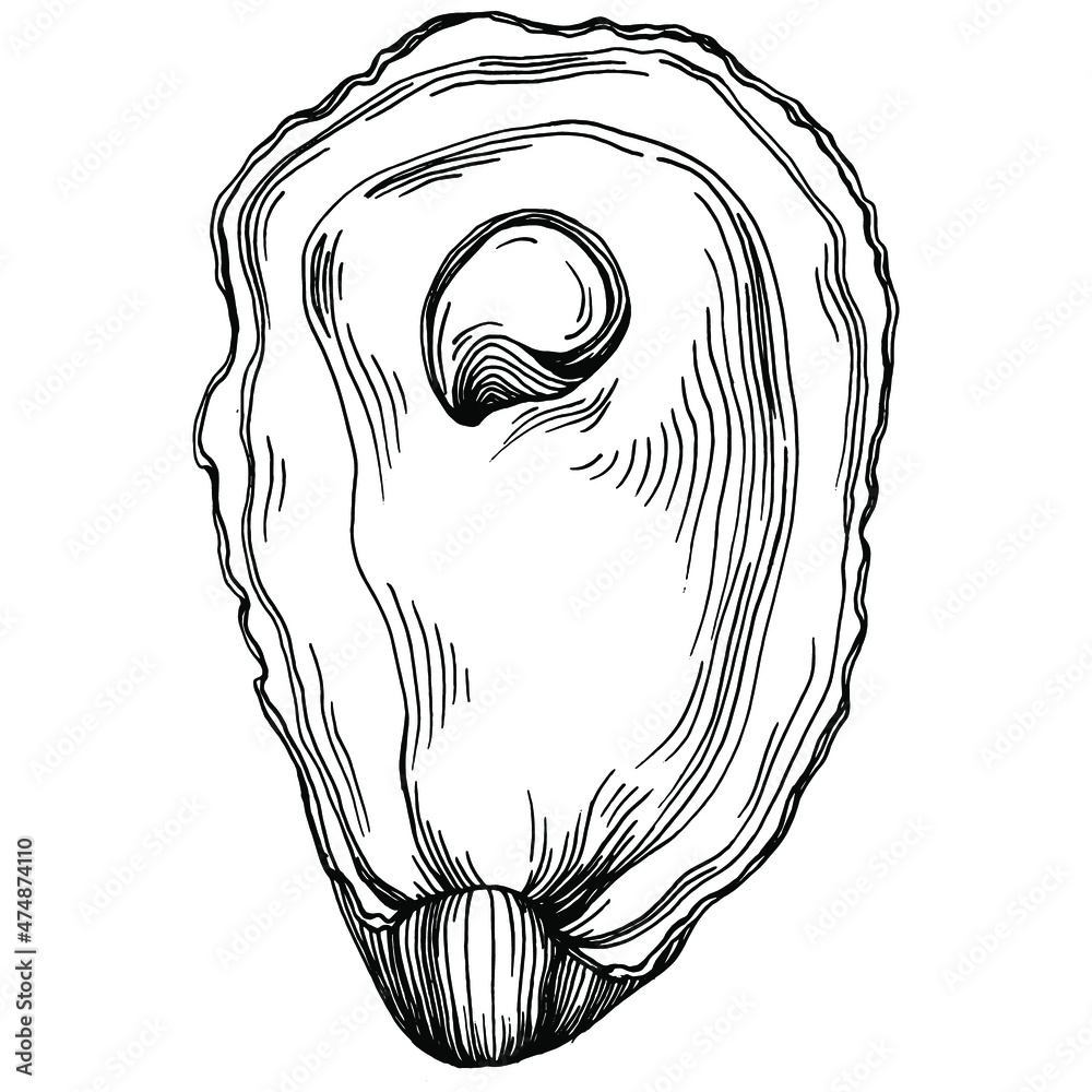 Oysters vector with engraving style illustration of logo or emblem for ...
